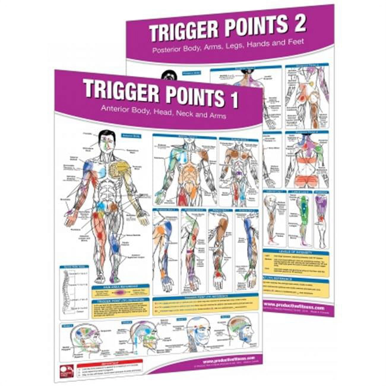 Productive Fitness TP-SET Trigger Points Set - Walmart.com