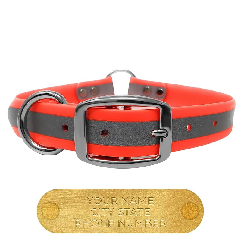 Products Medium Orange Reflective Dog Collar with Custom Engraved Name ...