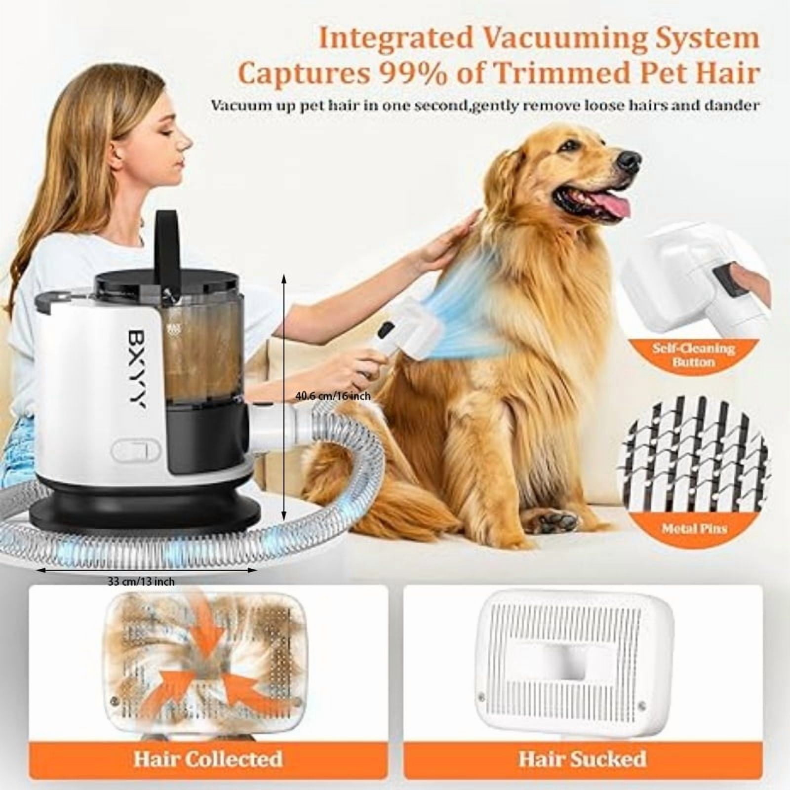 Professional 2.5L Pet Grooming Kit – 5-in-1 Vacuum Clipper System for ...