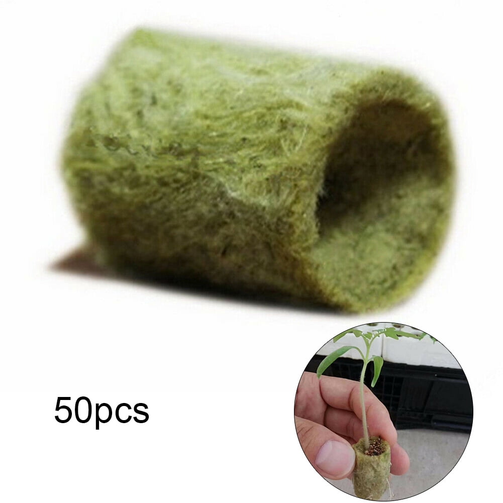 Professional 50/100pcs Single Hole Grow Media Plug Starter Cubes Rock ...