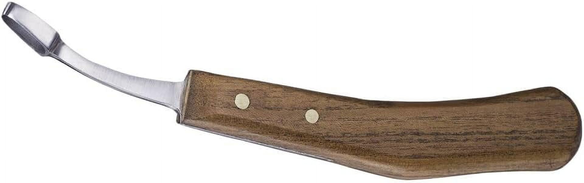 Professional Abscess Loop Knife - Walmart.com