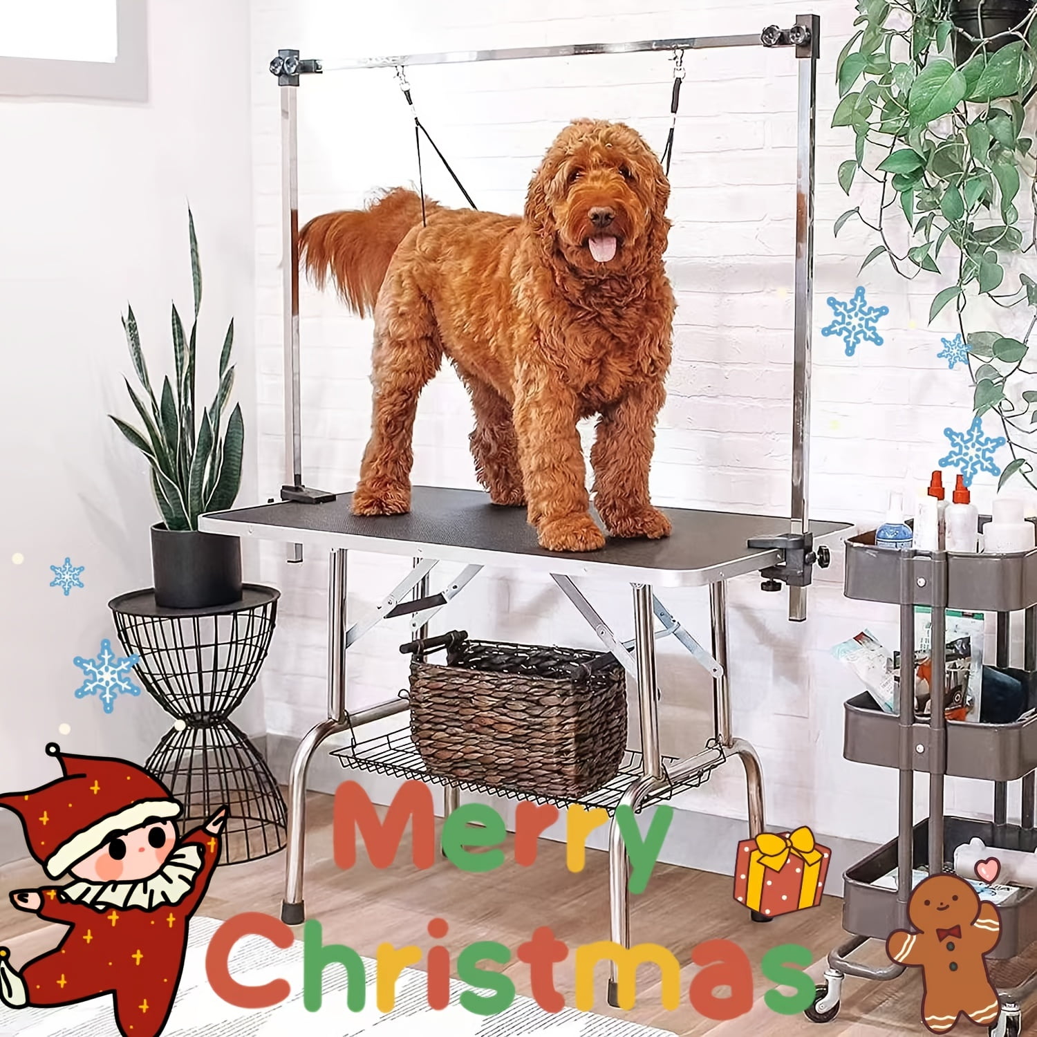Professional Adjustable Pet Grooming Table for Large Dogs - 42 ...