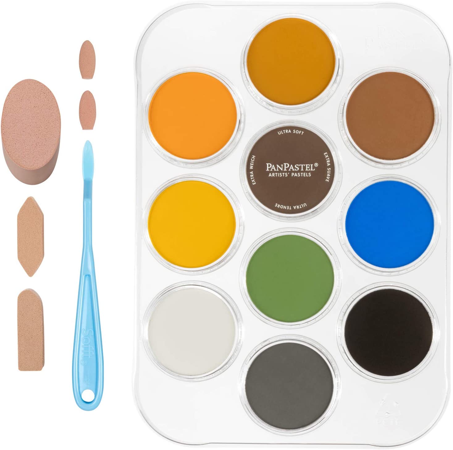 Professional Artist Pastels, Wildlife Painting Set, 10 Color, Pan ...