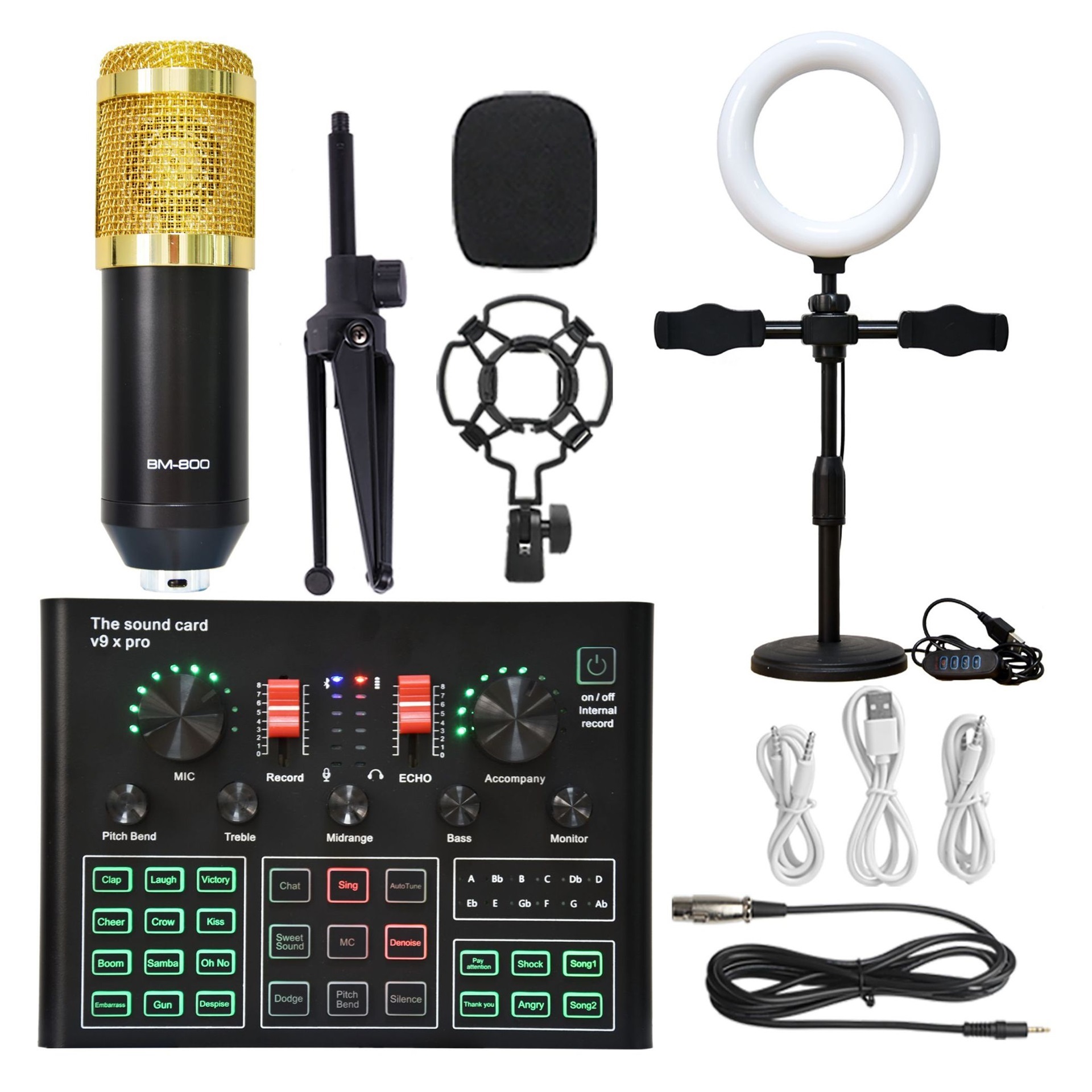 Professional Audio V8 Sound Card Set Mic Studio Condenser Microphone ...