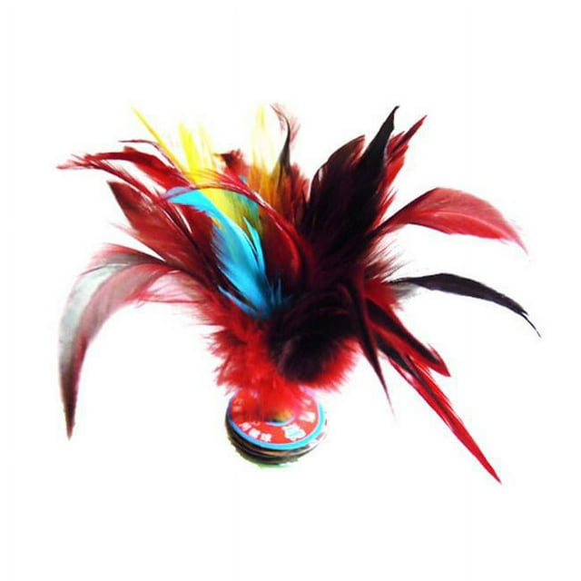 Professional Colored Kick Shuttlecock Chinese Jianzi Sport - 5 Piece ...