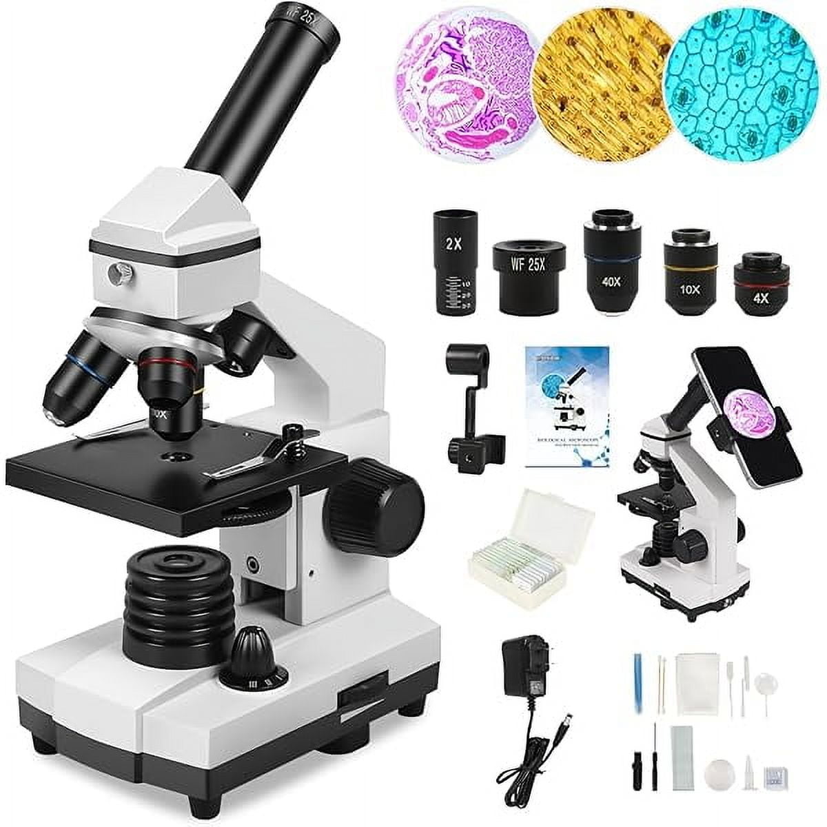 Professional Compound Microscope for Kids 8-12 with 100X-2000X ...