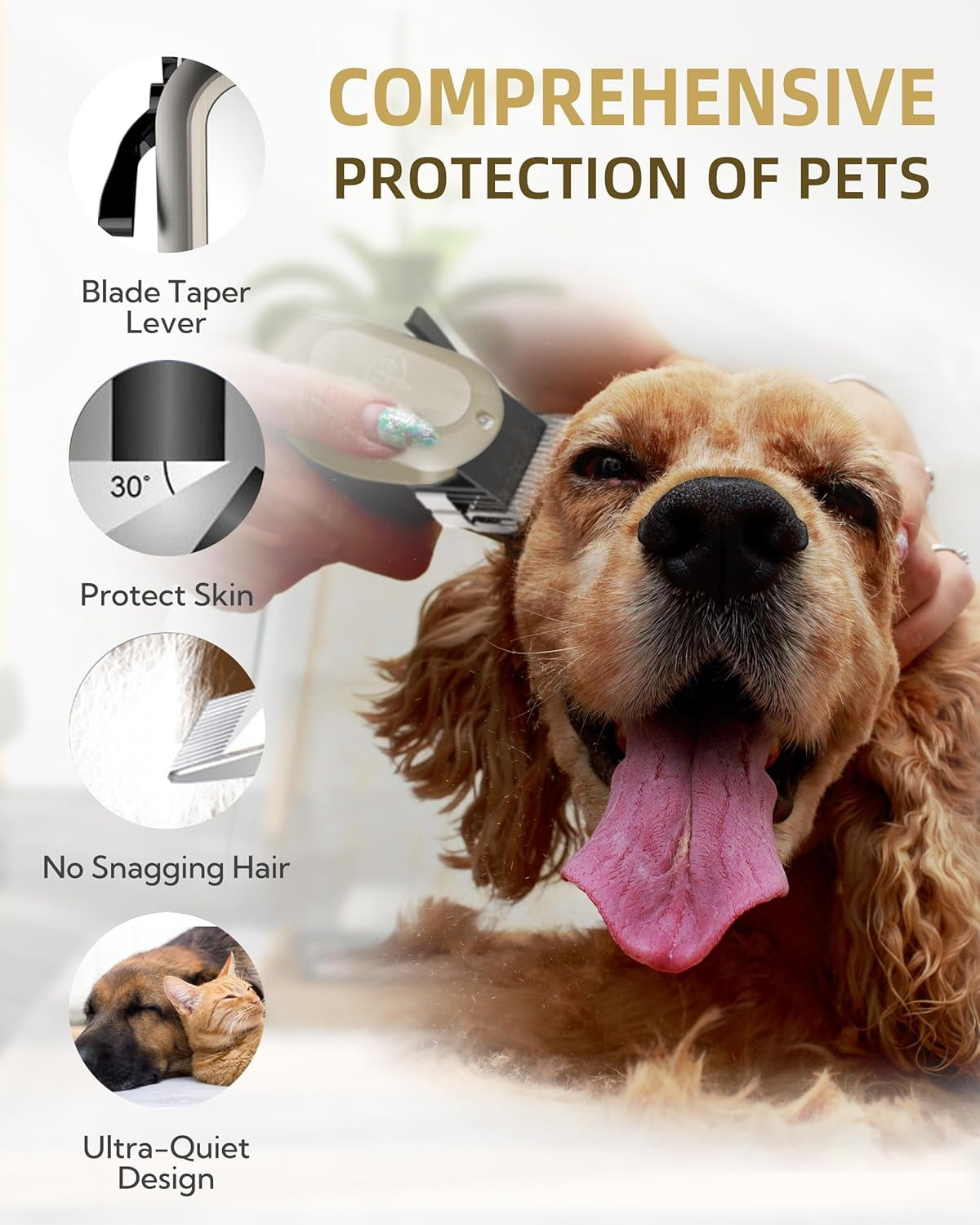 Professional Dog Grooming Clippers with 12V High Power, 10 Metal Guard ...