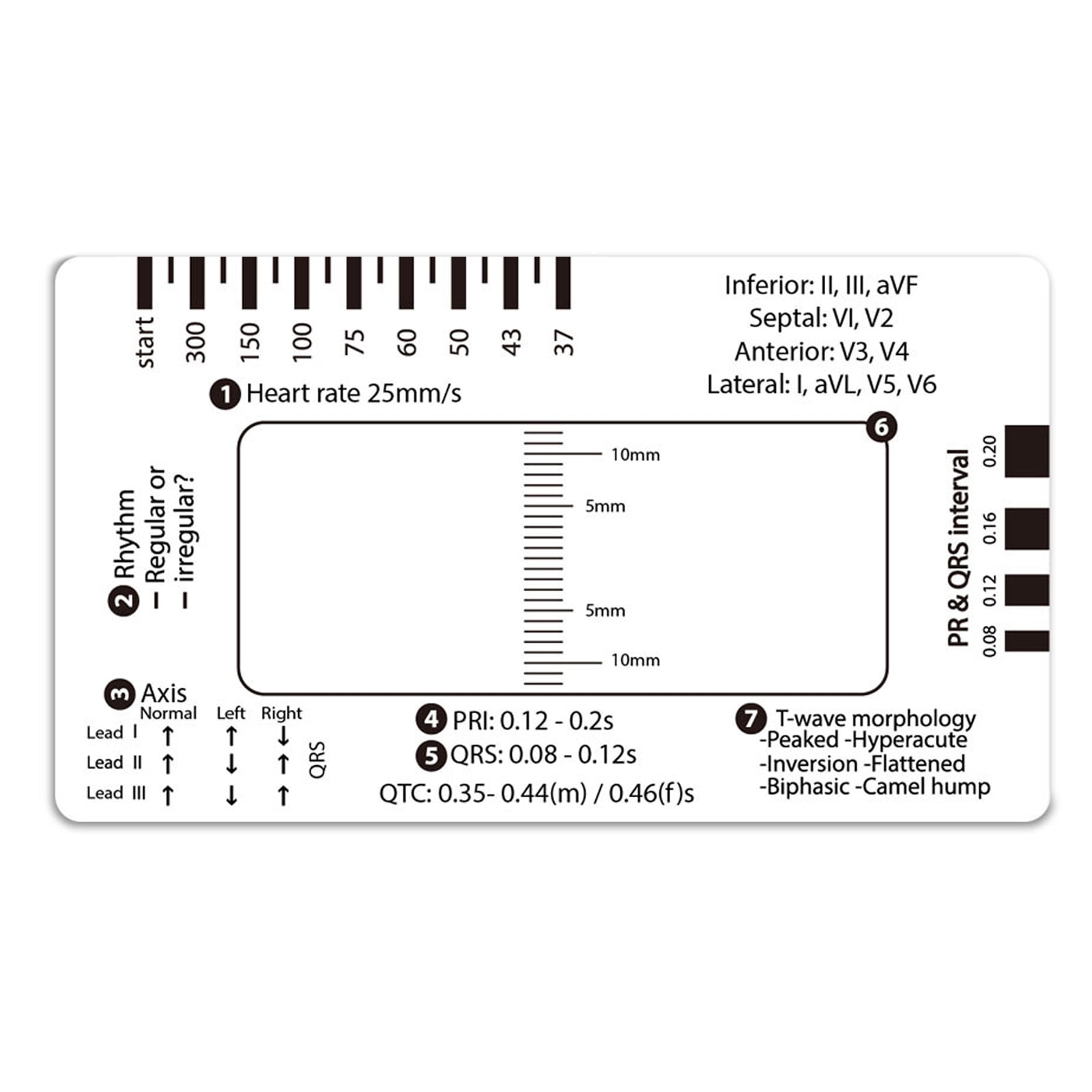 Professional EKG 7 Step Ruler Card Portable Pocket EKG Interpretation ...