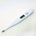 Professional Electronic Pet Thermometer, Safe for Dogs and Cats, with ...