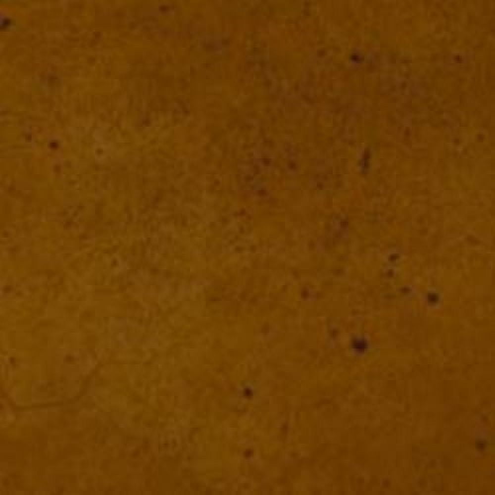 Professional Fast Drying Concrete Stain - Easy to use! Ten Second Color ...