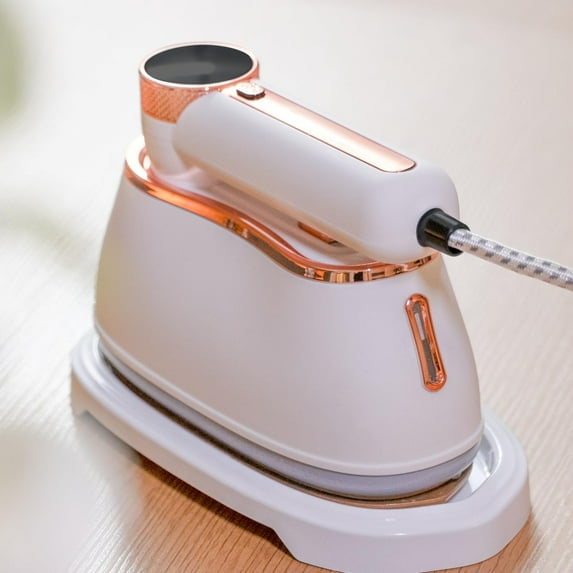 Professional Garment Steamer for Clothes 2 in 1, High Steam Volume 20g ...