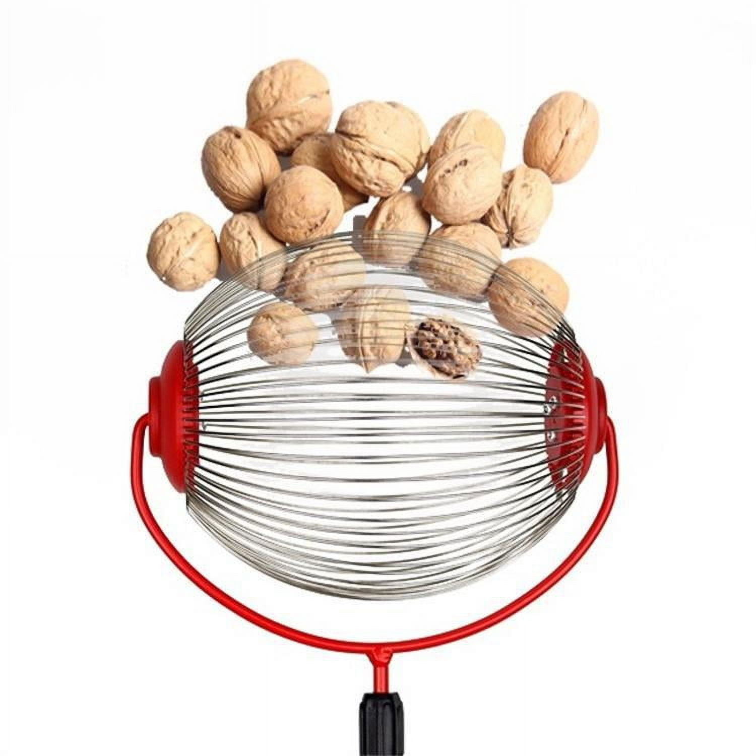 Professional Grade Nut Collector, Ergonomic Telescopic Rod Ensures ...