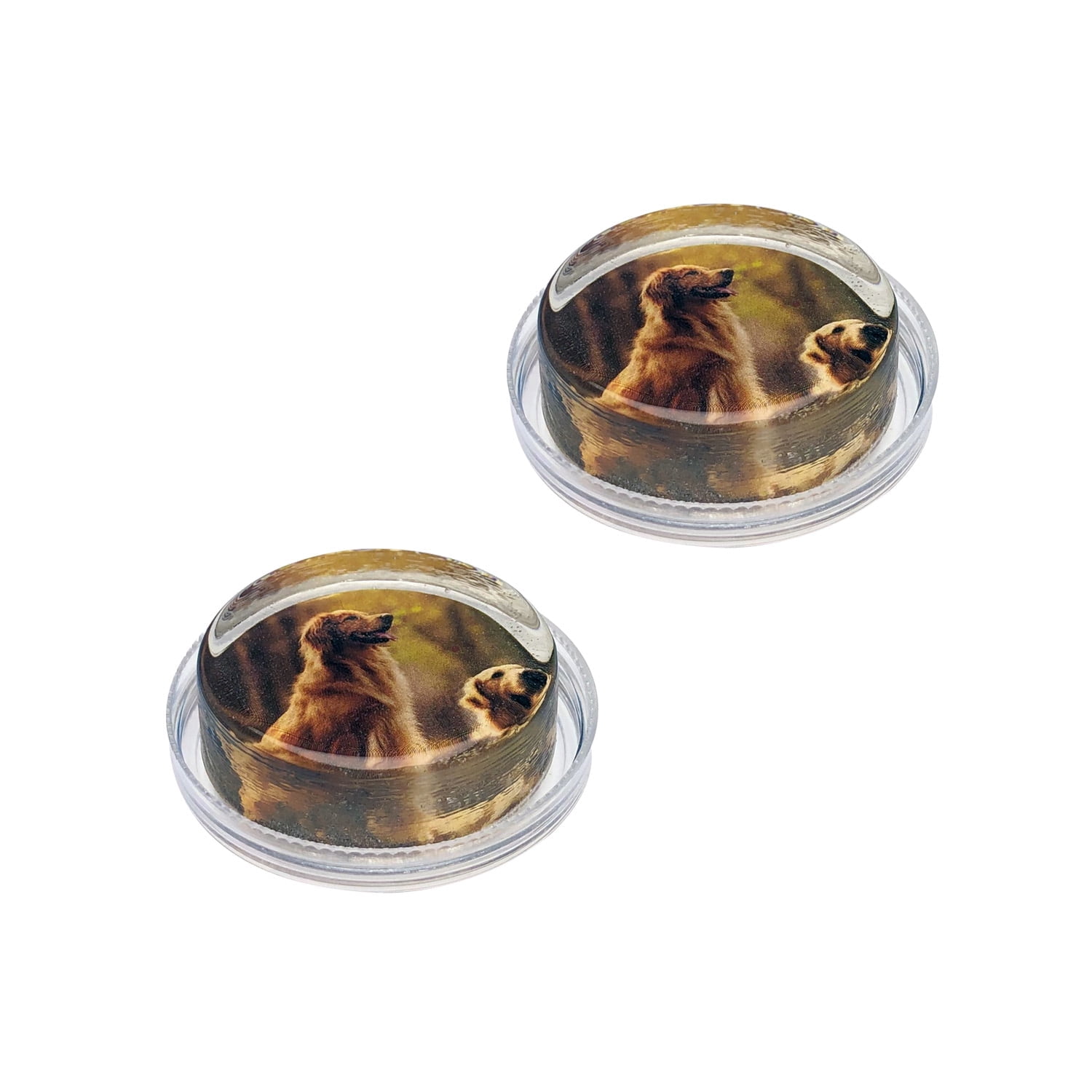 Professional Grade Rosin for Violin, Viola Cello and Erhu, Low Dust, 2 ...