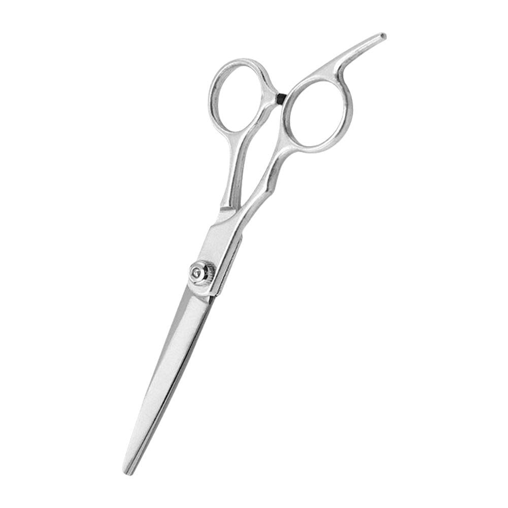 Professional Hair Cutting Thinning Scissors Texturizing Shears Saloon ...