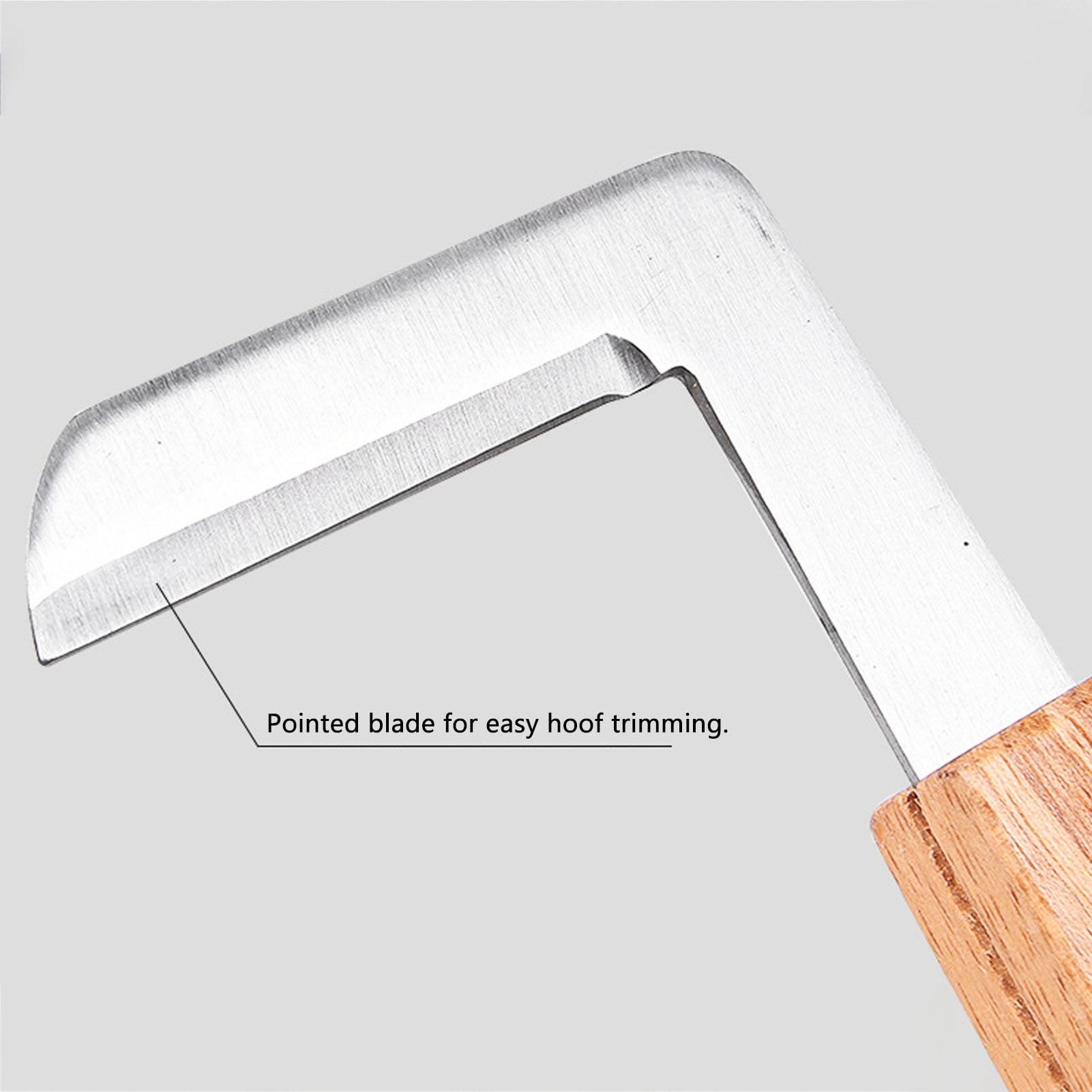 Professional Hoof Trimming Tool, Right Or Left Hand Use, Durable Steel ...