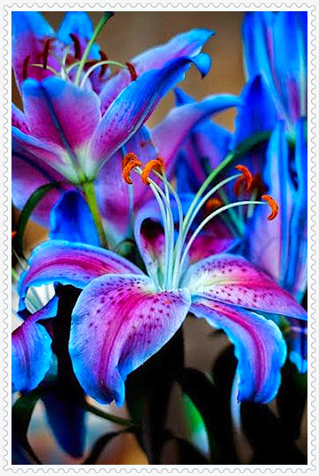 Professional Indoor or Outdoor Simple to Grow Fall or Spring Surprise ...