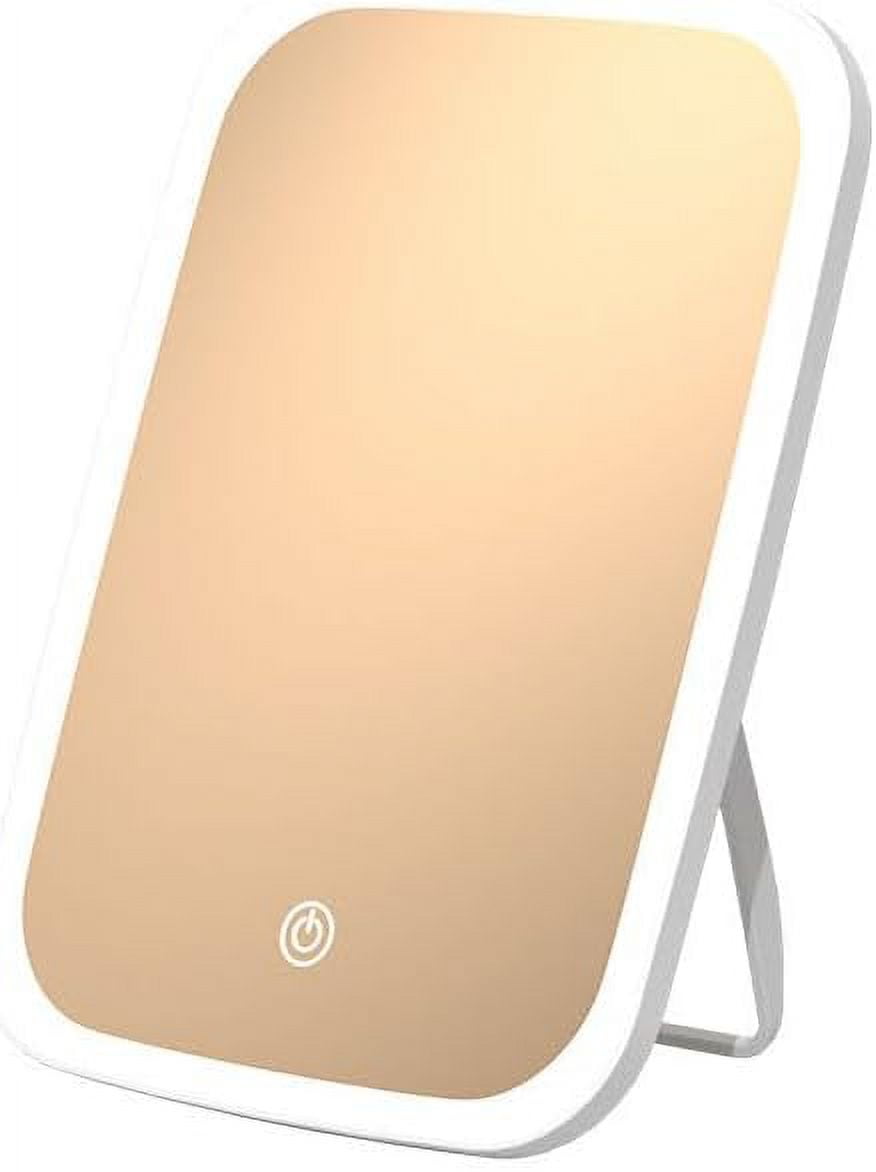 Professional Lighted Makeup Mirror with Lights - Vanity Mirror with LED ...