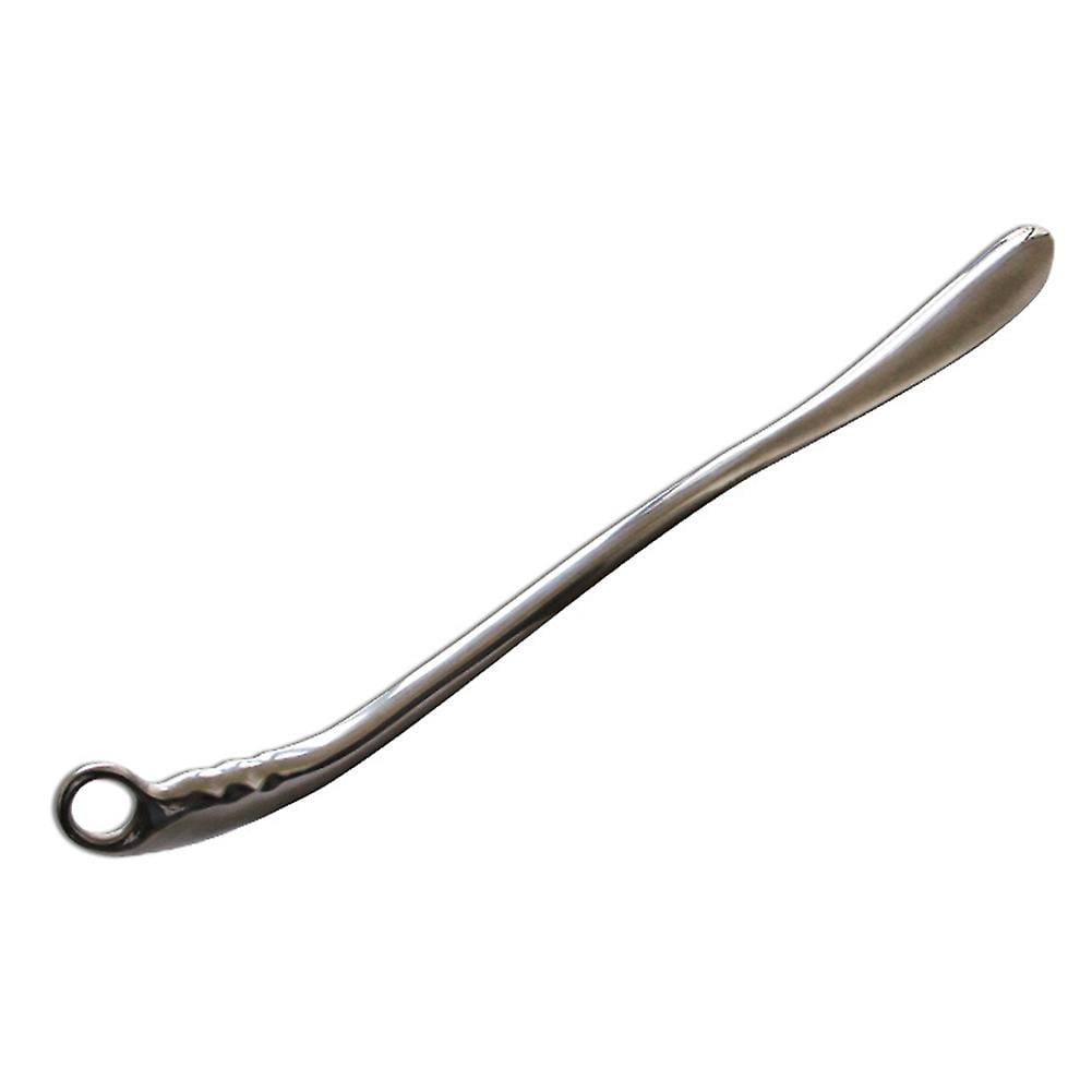 Professional Long Handheld Shoe Horn Solid Metal Shoehorn for Seniors ...