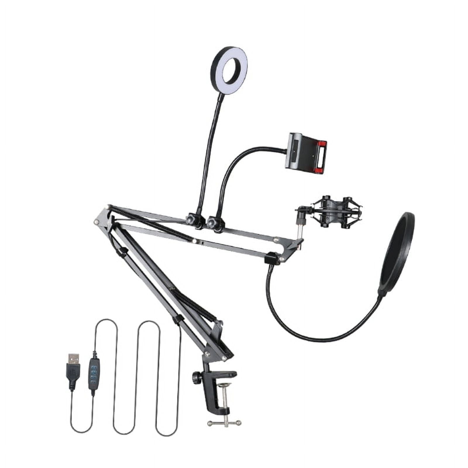Professional Microphone Stand, Mic Arm Desk Adjustable Suspension Boom ...