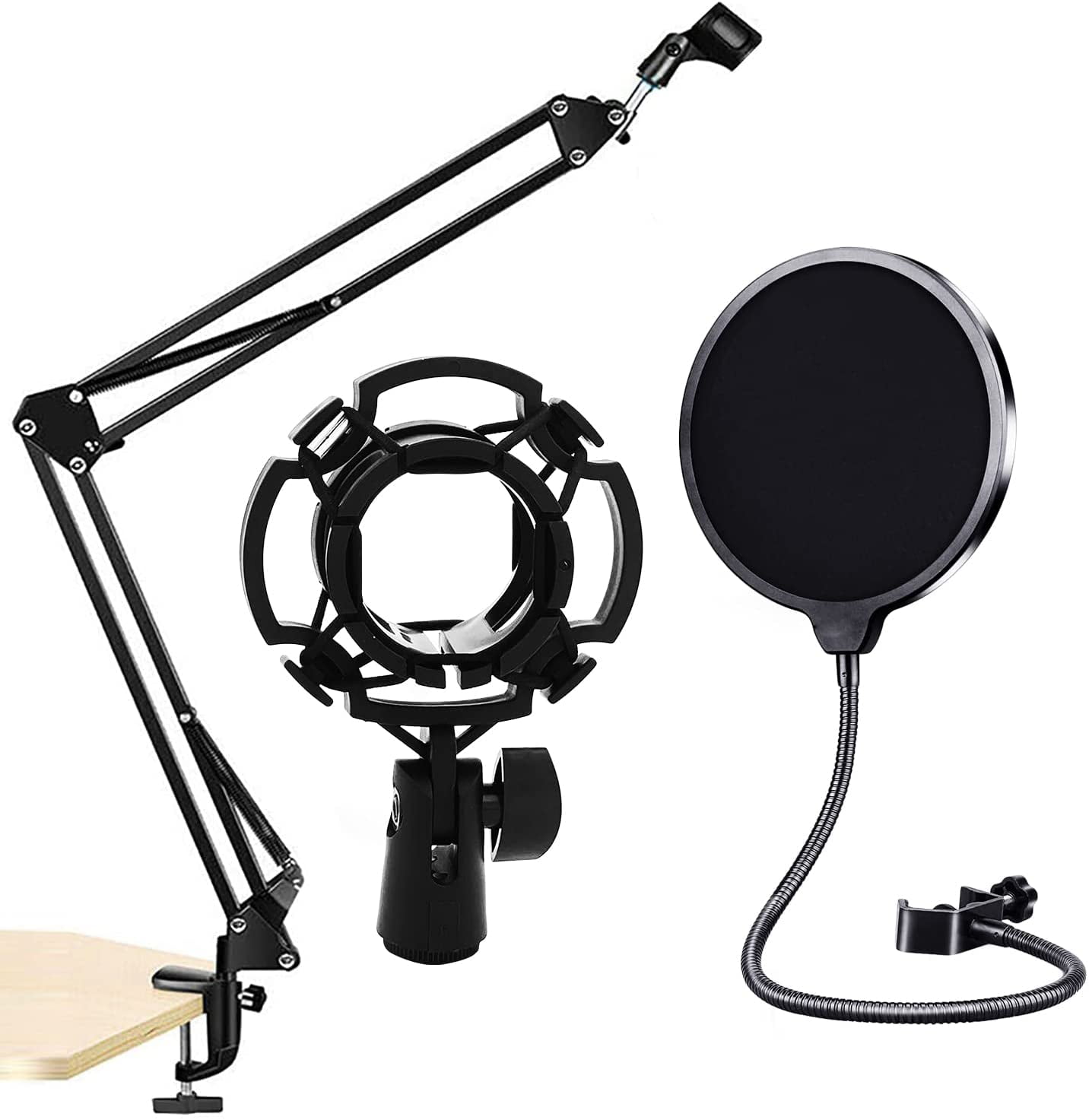Professional Microphone Stand with Pop Filter Heavy Duty Microphone ...