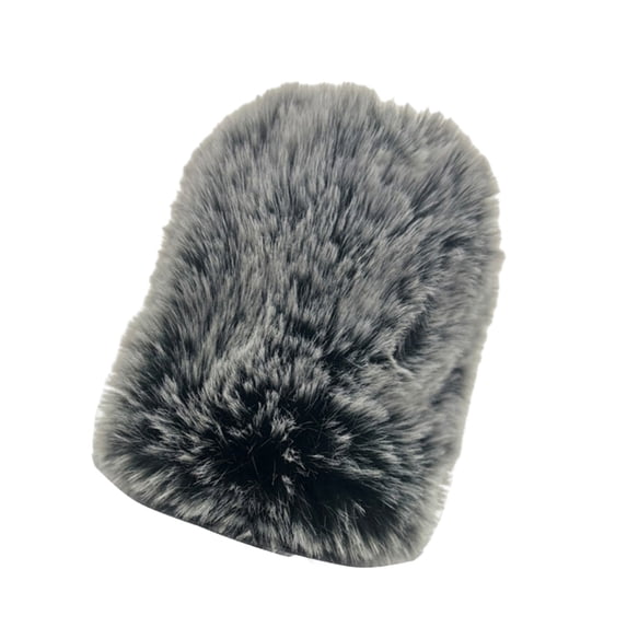 Professional Microphones Windscreen For Vocal Recording Studio And ...