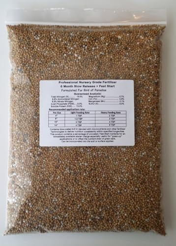 Professional Nursery Grade Strelitzia Bird of Paradise Fertilizer 4 LB ...