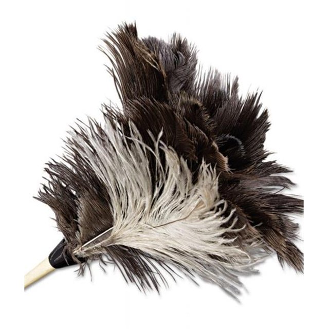 Professional Ostrich Feather Duster with 7 in. Wood Handle - Natural ...