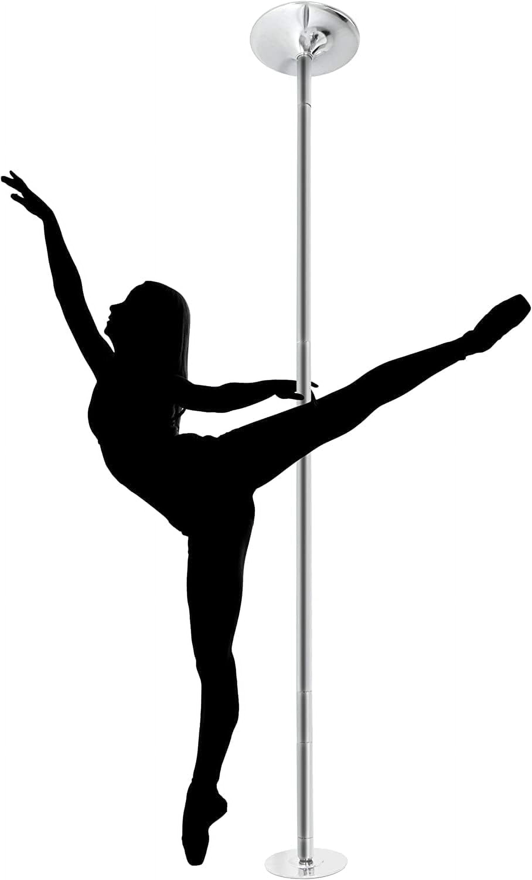 Professional Portable Dancing Pole Spinning Static Dance Pole Removable ...