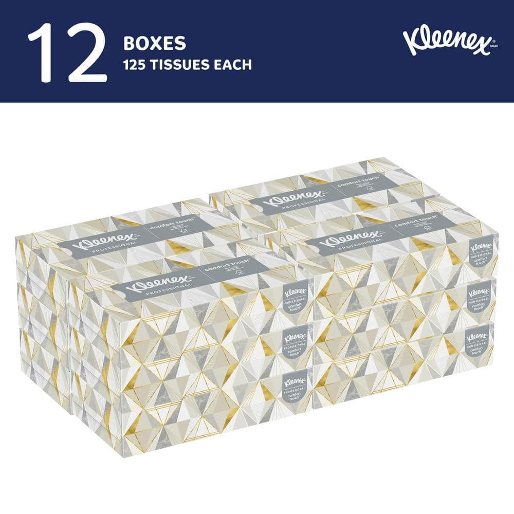 Professional Premium 2-Ply Facial Tissue (125 Sheets per Box, 12 Boxes ...