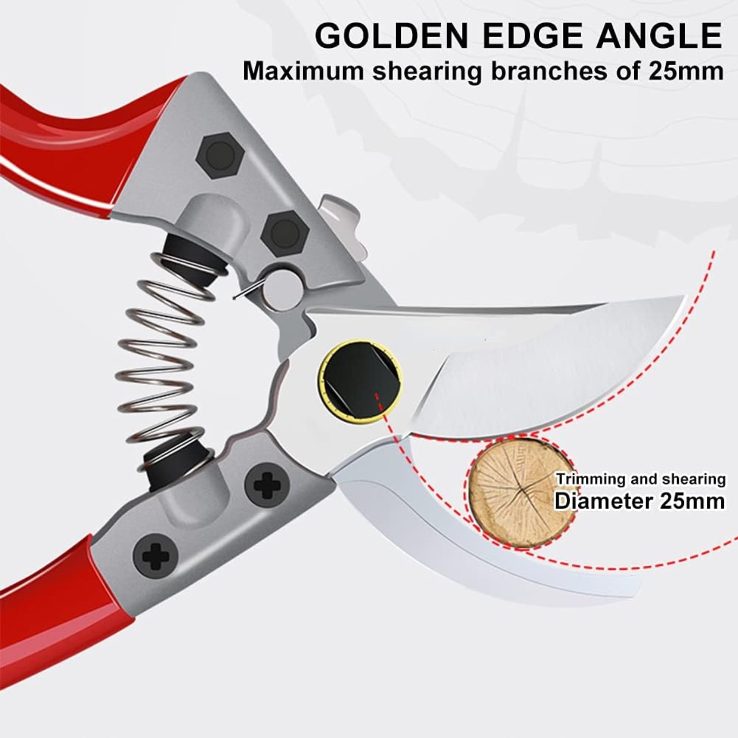 Professional Premium Sharp Garden Scissors for Pruning Rose Floral and ...