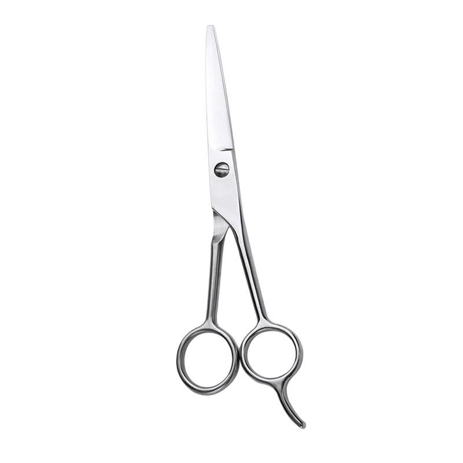 Professional Salon Hair Cut Scissors Barber Stylist Set - Cutting ...