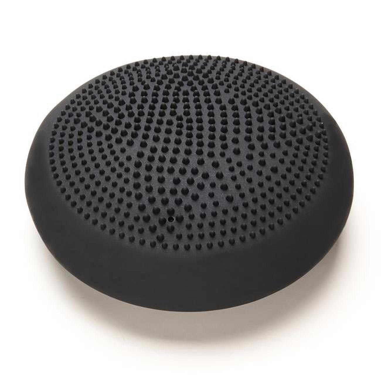 Professional Series Balance Stability Disc with Hand Pump, Black ...