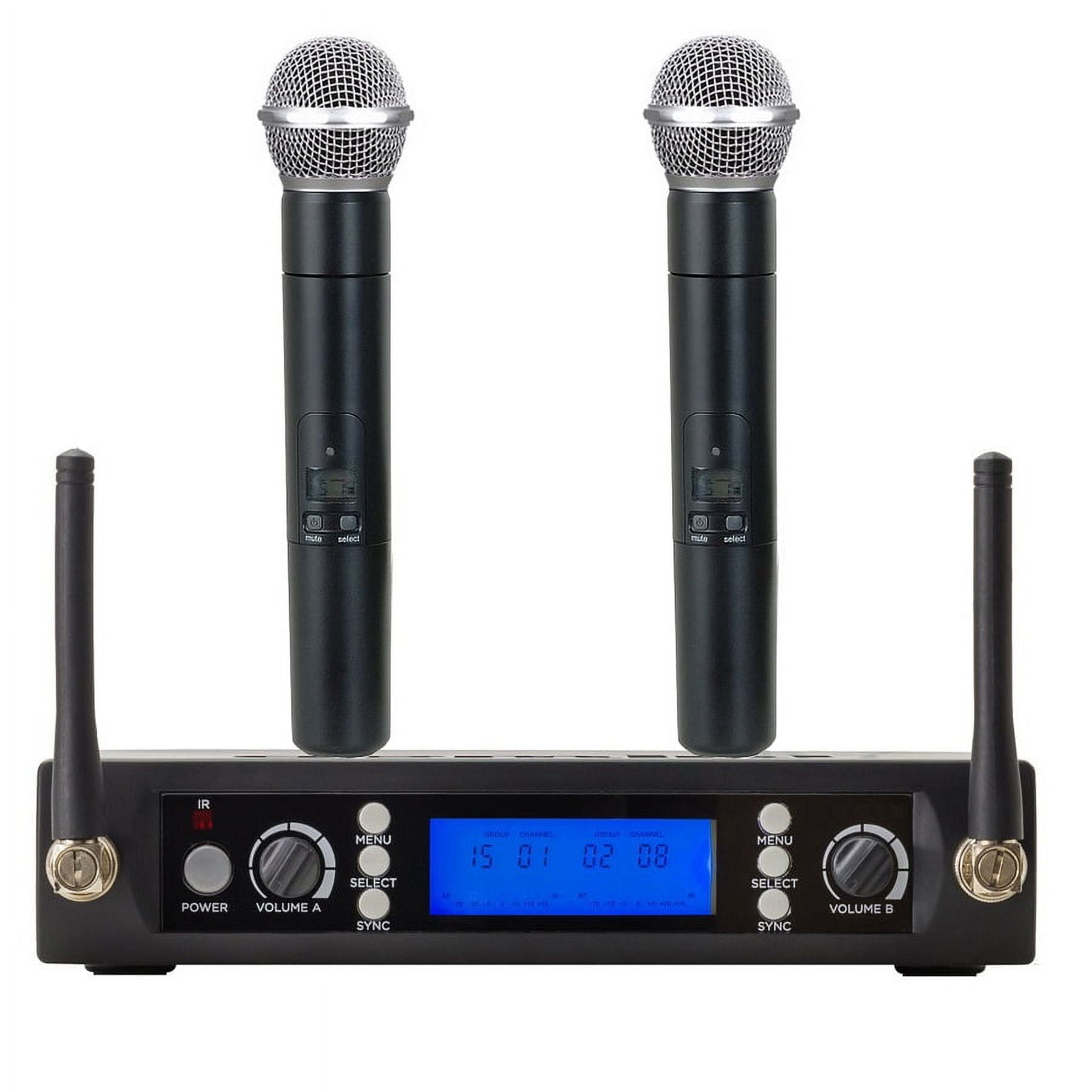 Professional UHF Dual Wireless Microphone Handheld Dynamic Mic With ...