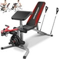 Professional Weight Bench with Leg Extension & Leg Curl & Preacher Curl ...