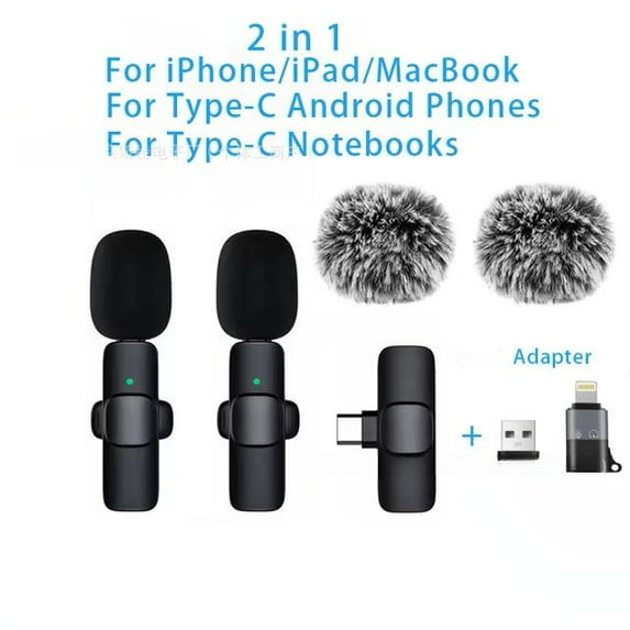 Professional Wireless Microphone, USB Rechargeable Wireless Microphone ...
