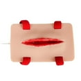 Professional Wound Bleeding Control Trainer Model Realistic Simulation ...