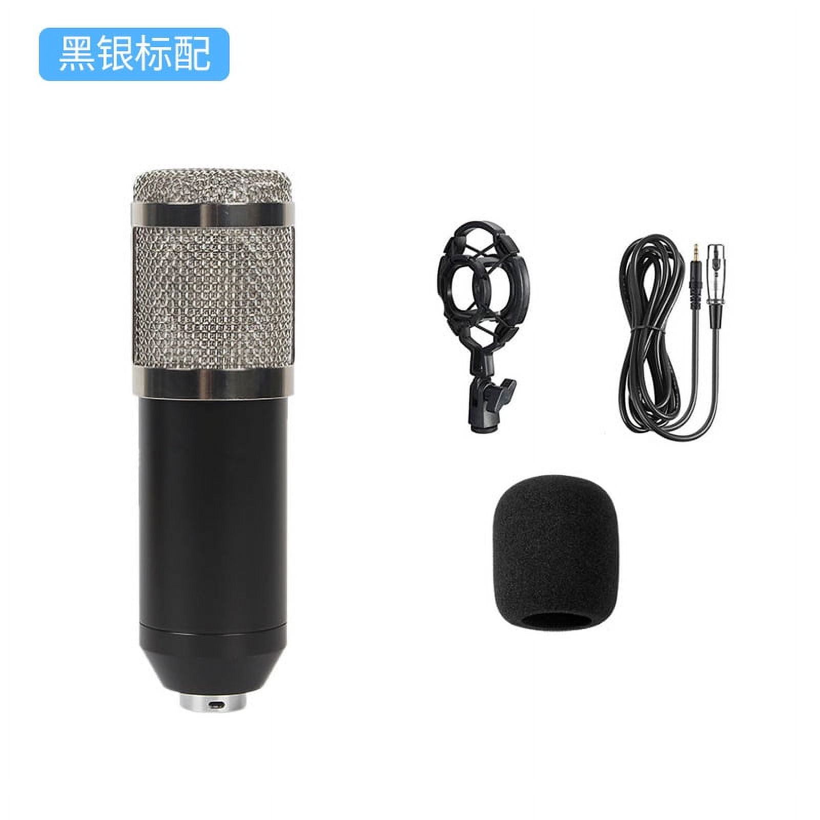 Professional recording studio computer recording microphone condenser ...