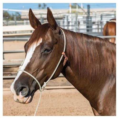 Professional's Choice Lariat Rope Training Halter - Walmart.com