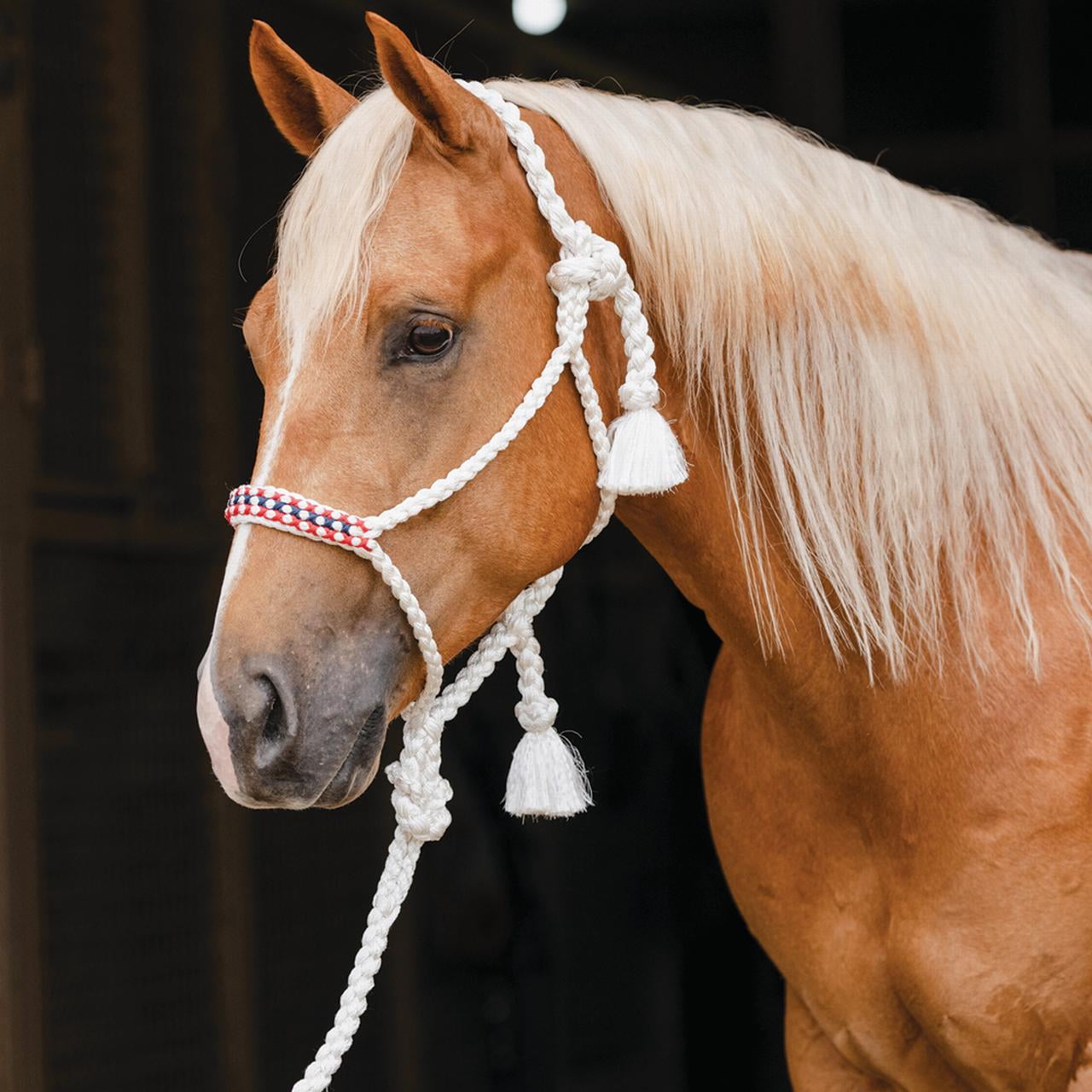 Professionals Choice Cowboy Braided Halter with 10ft Lead White/Red OS ...