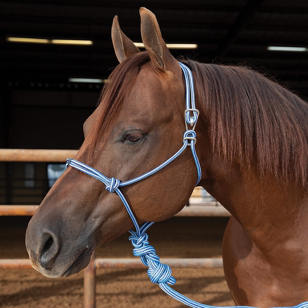Professionals Choice Easy On Rope Halter Turquoise Horse - Walmart.com