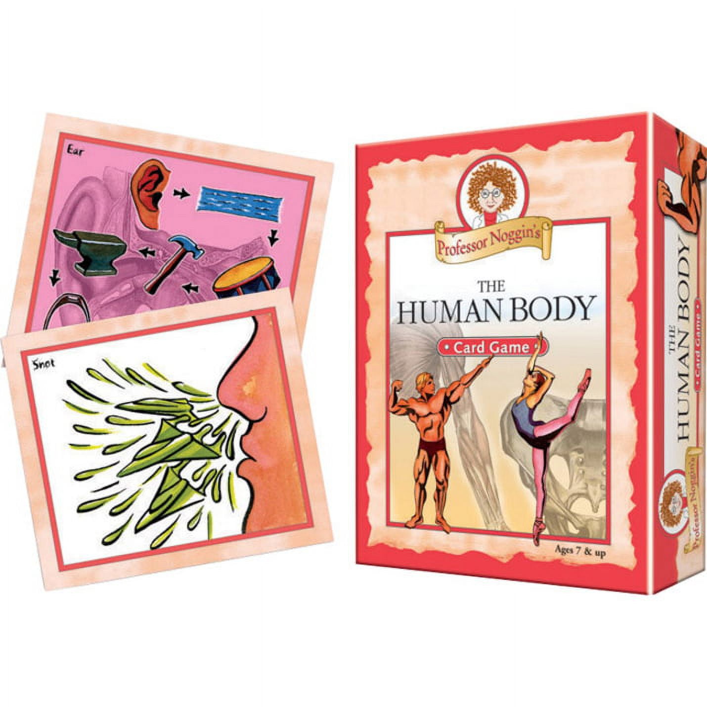 Professor Noggin The Human Body - Walmart.com