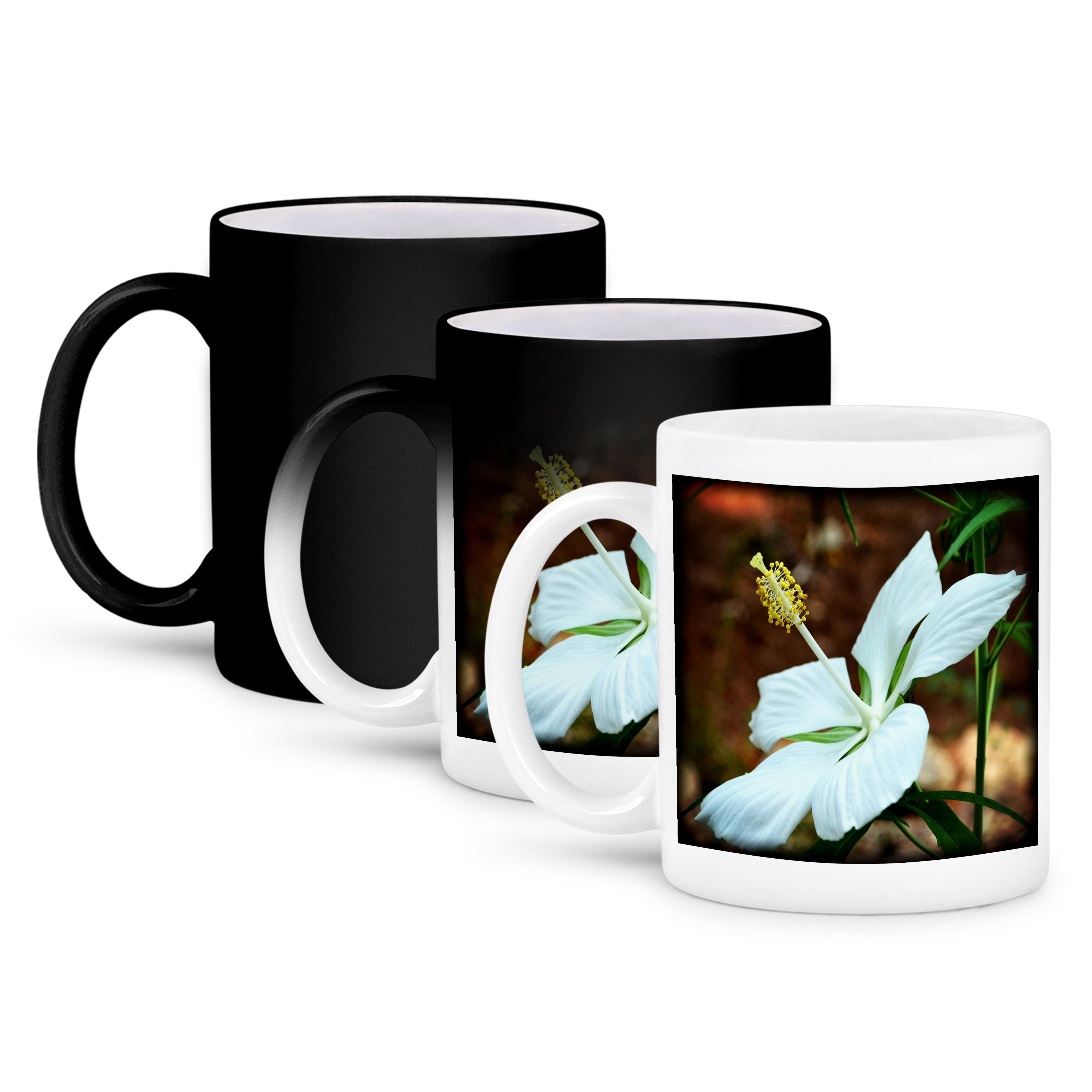 3dRose, Profile of a White Hibiscus is a photo of a profile hibiscus ...