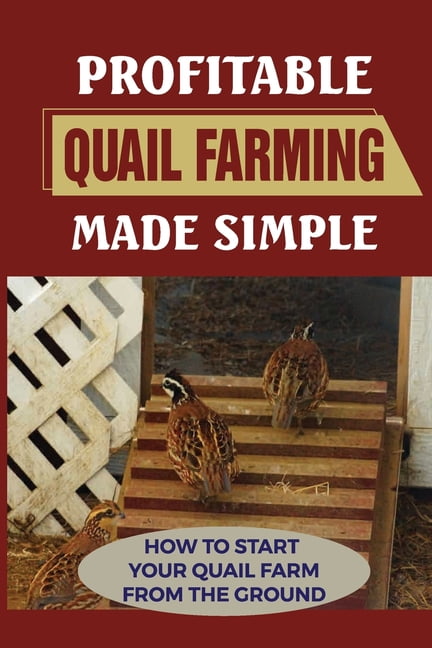 Profitable Quail Farming Made Simple: How To Start Your Quail Farm From ...