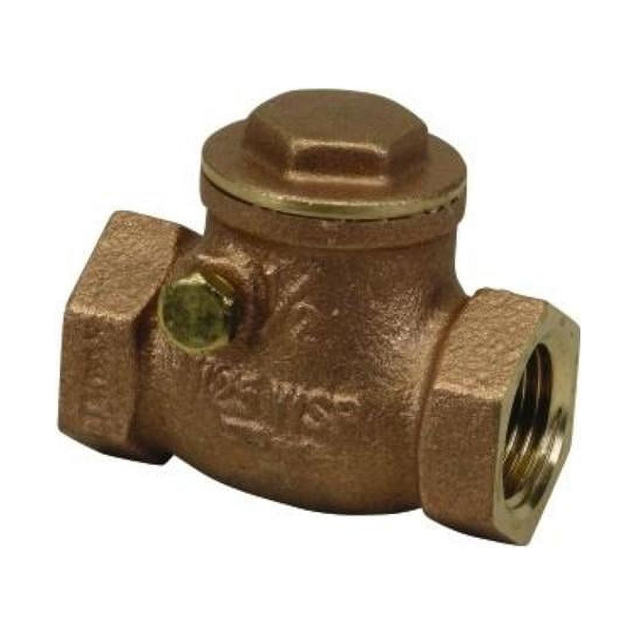 Proflo Pf31k 2" Swing Check Valve - Walmart.com