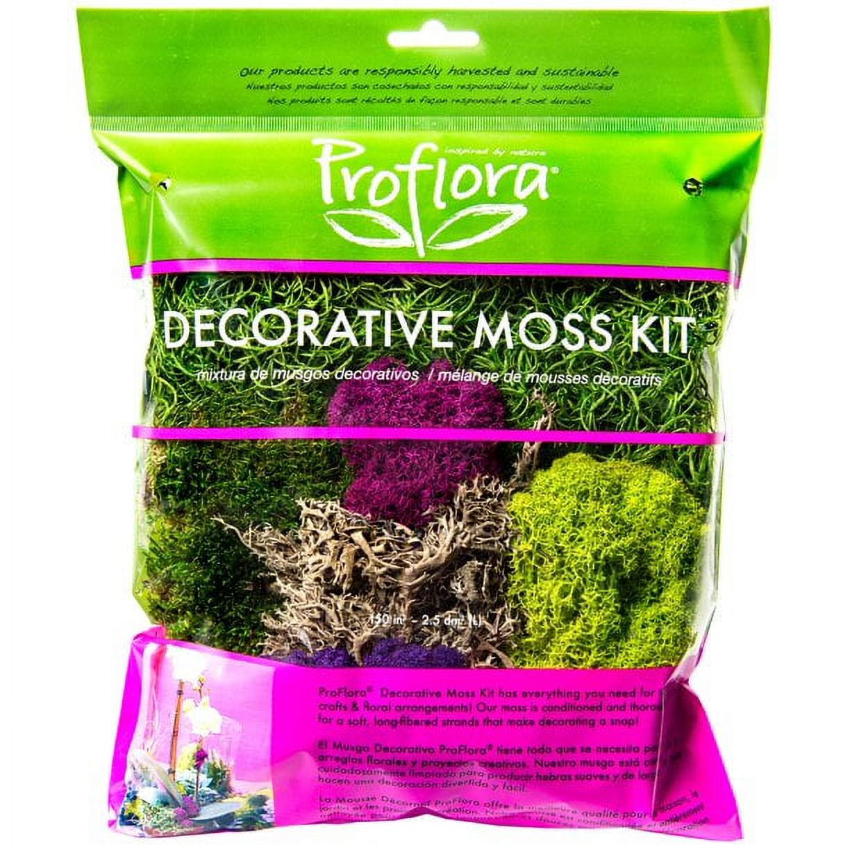Proflora Green Decorative Moss Kit, 4oz Floral Arranging Supplies ...