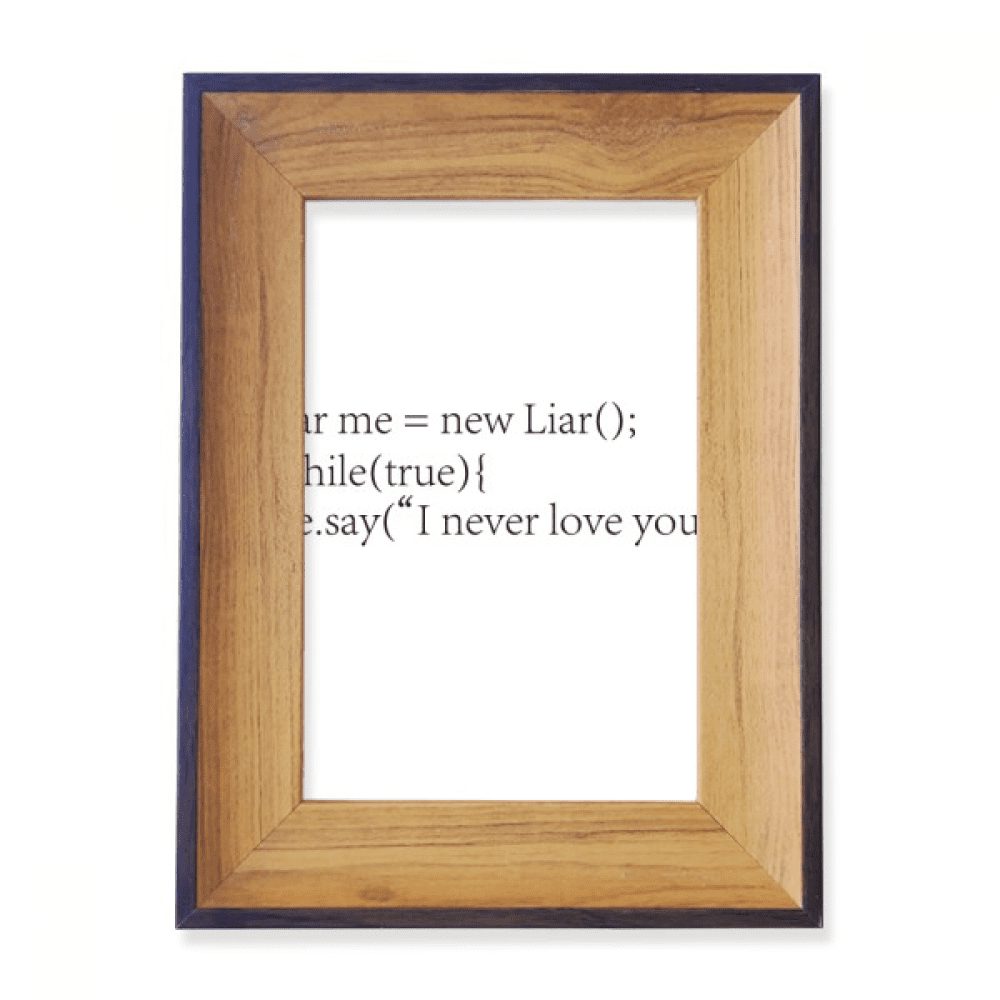Programmer Program Statement Liar Me Photo Frame Exhibition Display Art ...