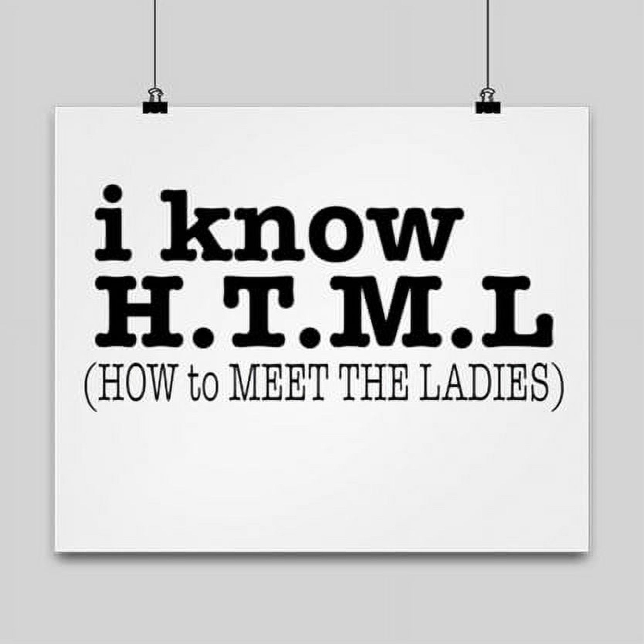 Programming Poster, HTML How To Meet Ladies, Humor Wall Art Gift, White ...
