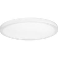 20" LED Ceiling Light Modern Ceiling Lamp Round Flush Mount Lighting ...