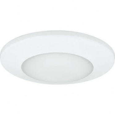Monument Flush-Mount Ceiling Fixture, Brushed Nickel, 12 X 3-1/2 In., 2 ...