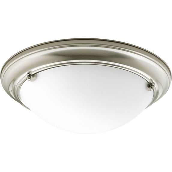 Progress Lighting Eclipse Collection, 2-Light Flush Mount Ceiling ...